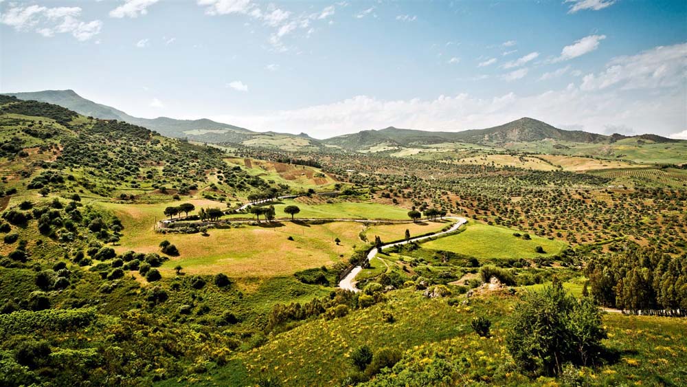 El Porsche 718 Cayman recorre la Targa Florio - Periodismo del Motor